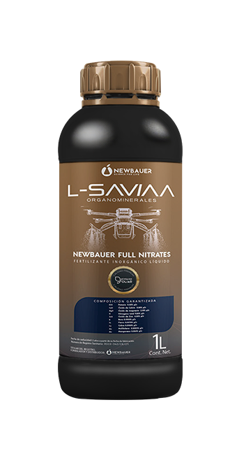 L-Saviaa – Newbauer
