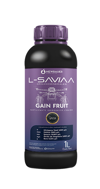 L-Saviaa – Newbauer