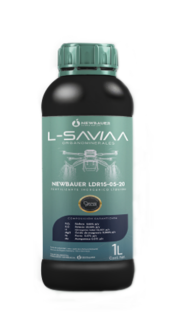 L-Saviaa – Newbauer